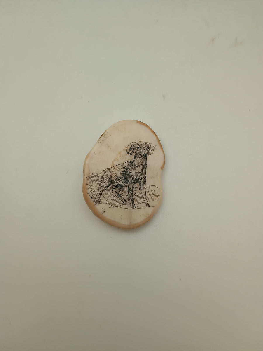 Walrus Ivory Pin with Scrimshaw of a Ram – Scrimshanders